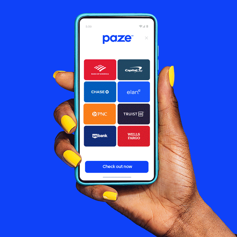 Meet Paze | Online Checkout